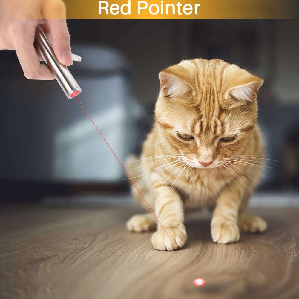 3 In 1 Rechargeable Pointer Toys USB Charging Cats... – Vicedeal