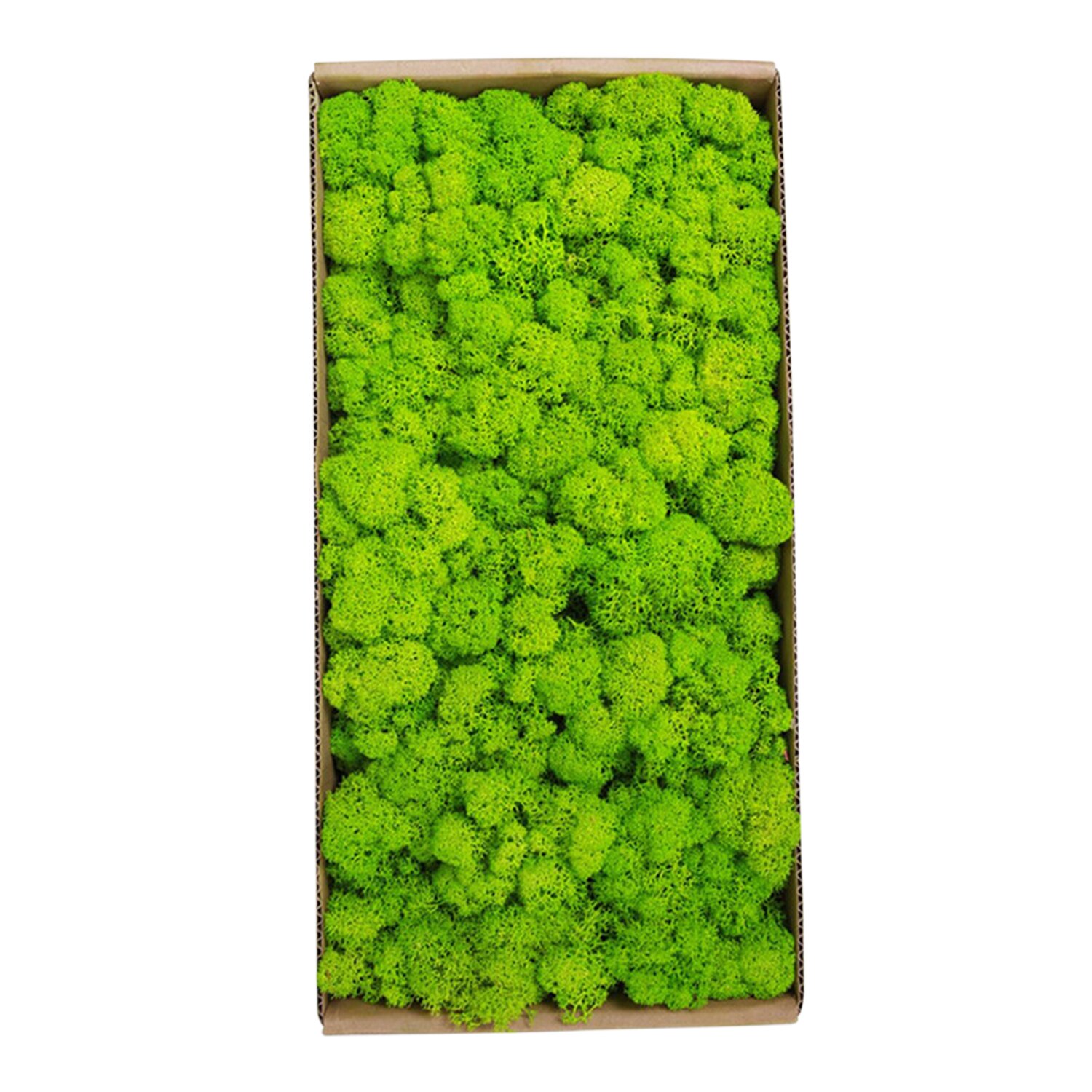 Preserved Moss Wall Decor Real Preserved Moss No M... – Vicedeal