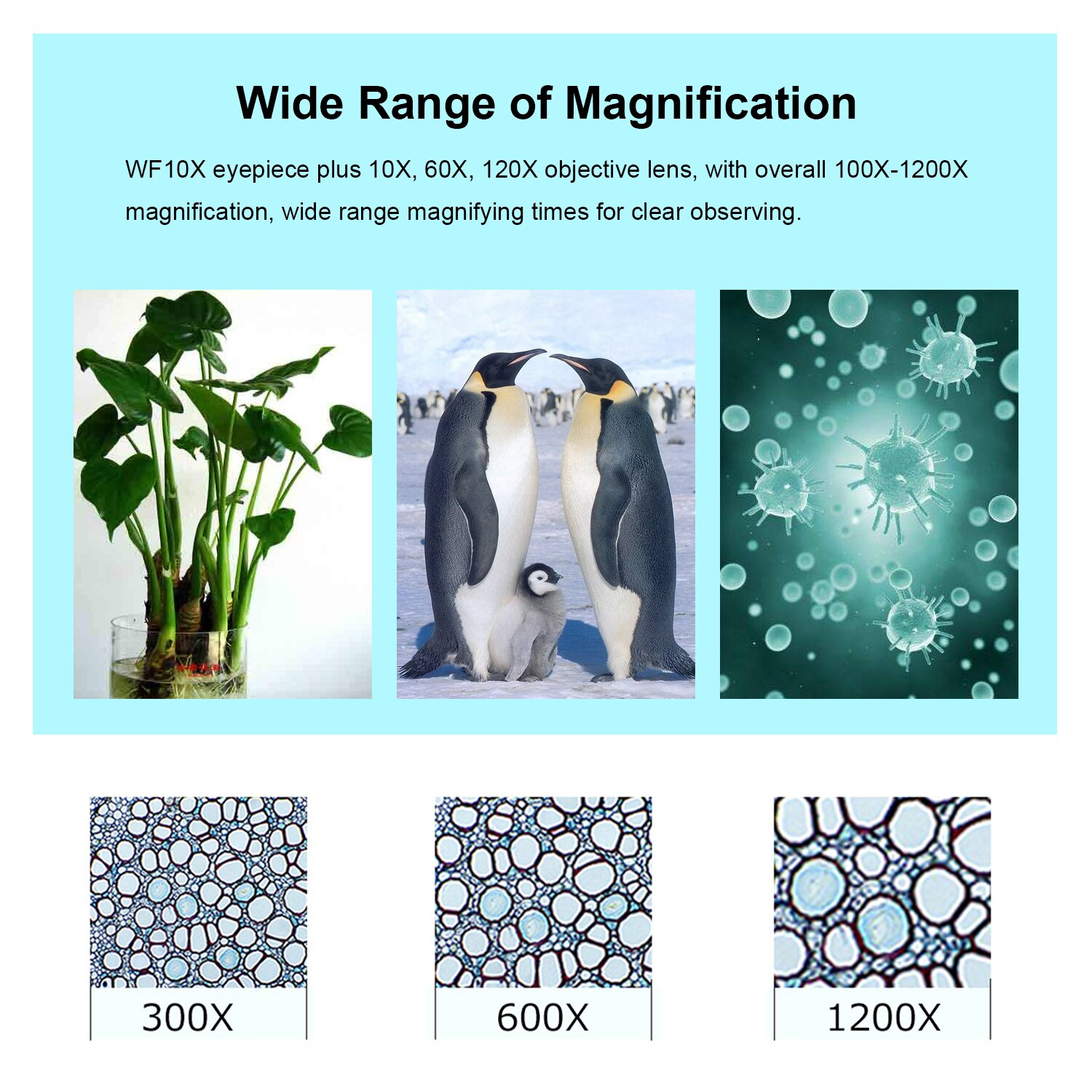 HM1200 High Definition Metal Trinocular Microscope... – Grandado