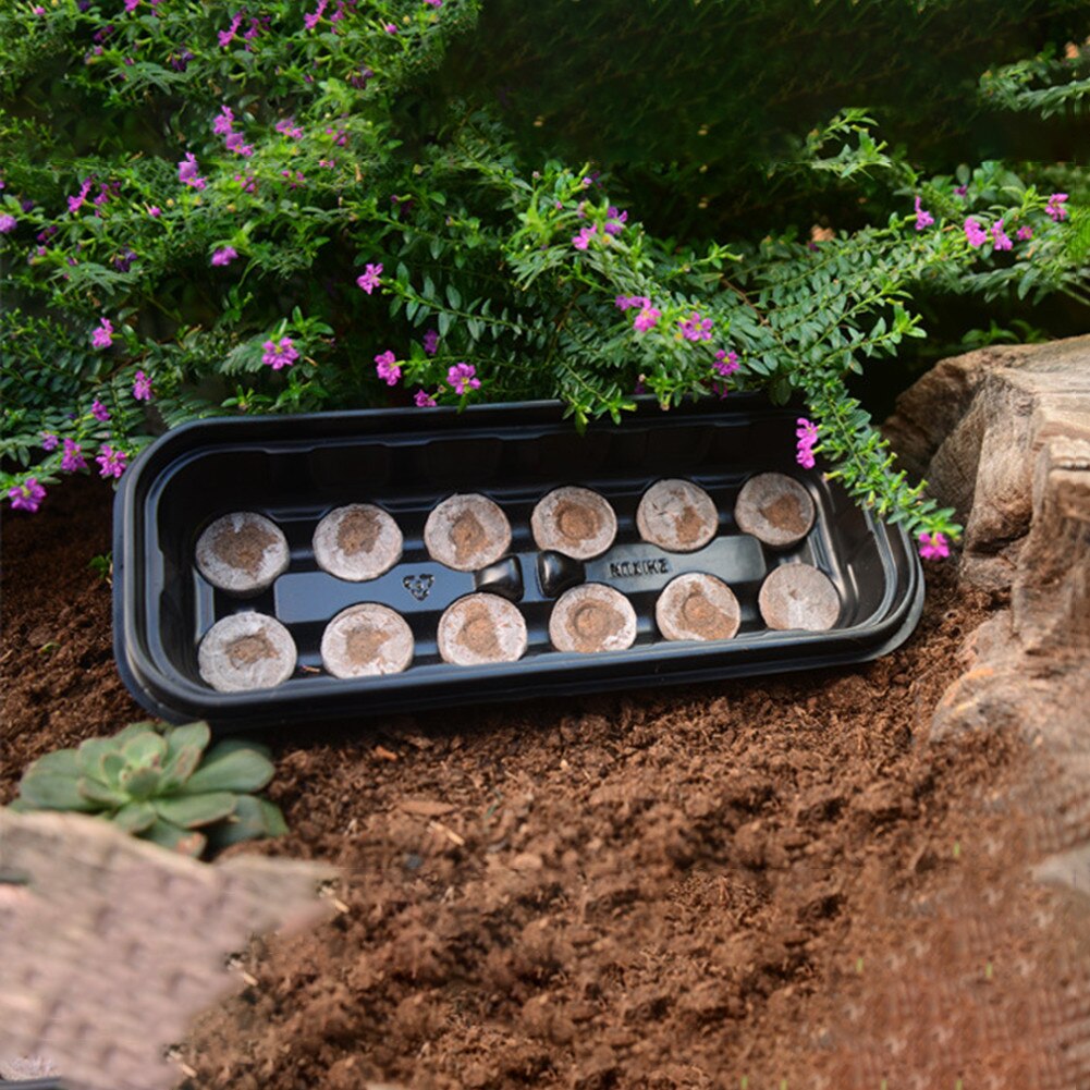 Planting Tray Plastic Nursery Pot Kit Plant Germin... – Grandado
