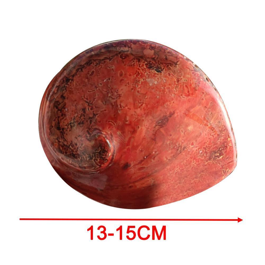 13-15cm Natural Red Abalone And Sage Storage Home ... – Vicedeal