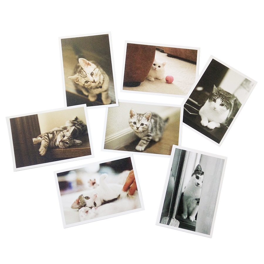 28 Pcs/lot Vintage Cute Cats Postcards Group Lovel... – Vicedeal