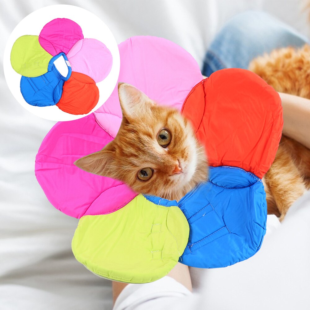 Anti Licking and Scratch Cat Recovery Collar Soft ... – Vicedeal
