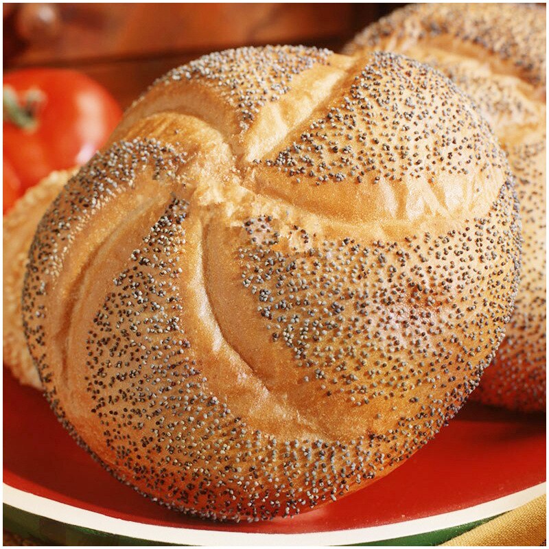 Aomily Bread Rolls Plastic Mold Fan Shaped Pastry ... – Grandado