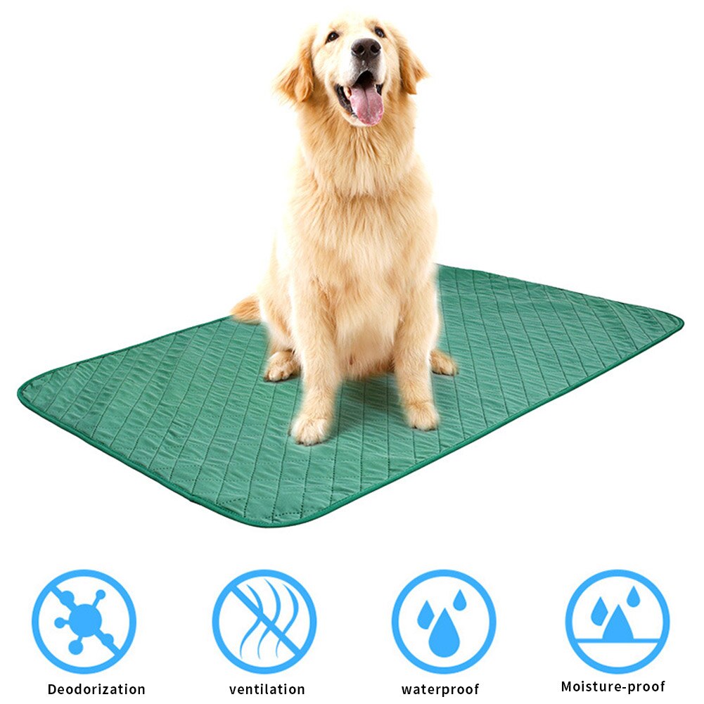 1pc Pet Pee Pads Mat Breathable Diaper Mat Waterpr... – Grandado