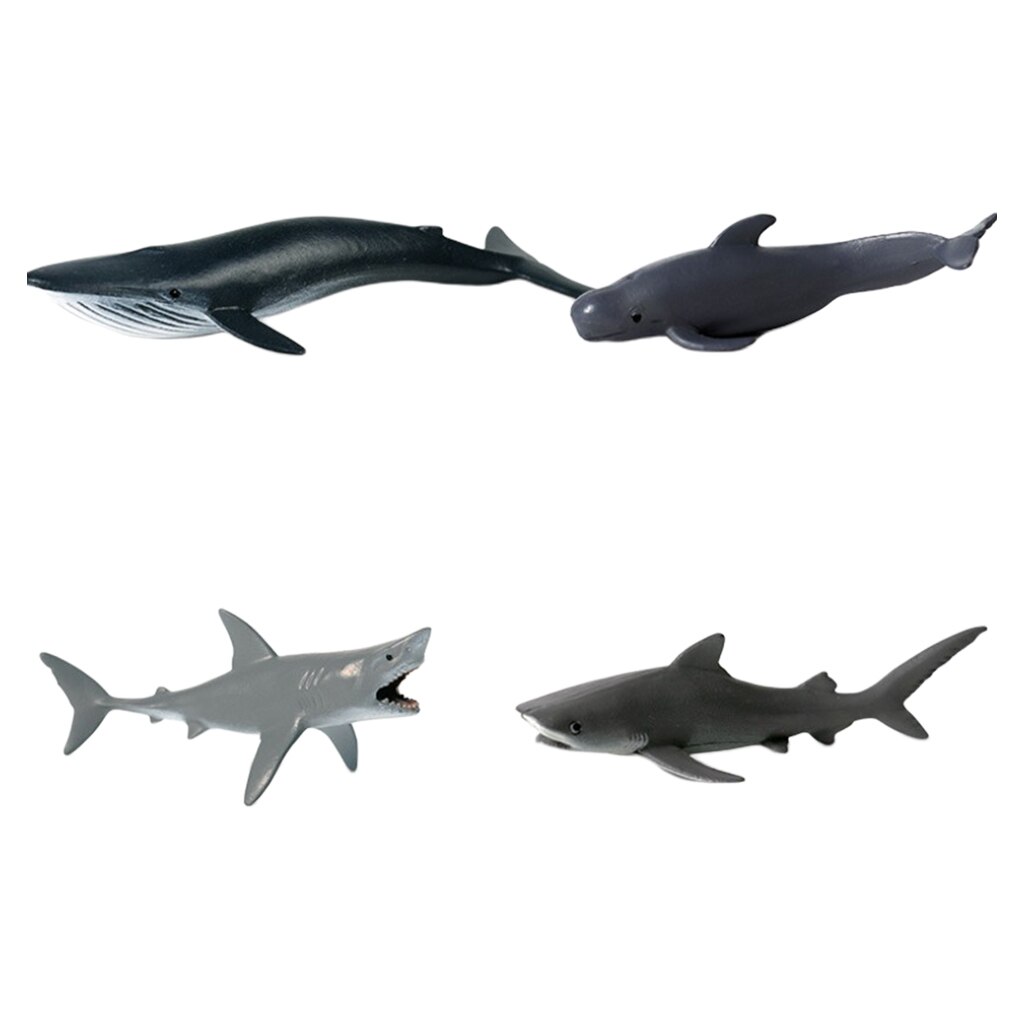 4 Pieces Realistic Nature Sea Life Animal Model Mi... – Grandado