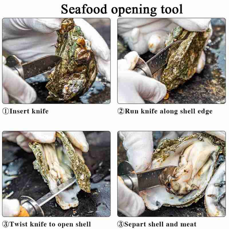 Steel Seafood scallop pry knife with wooden handle... – Grandado