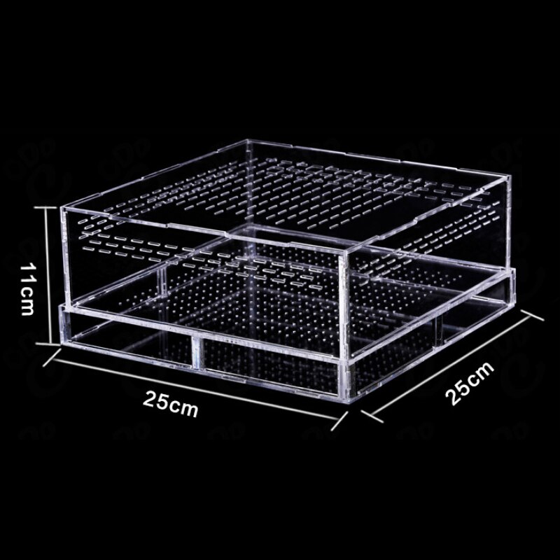 Breadworm Barley Worm Live Feed Acrylic Feeding Bo... – Vicedeal