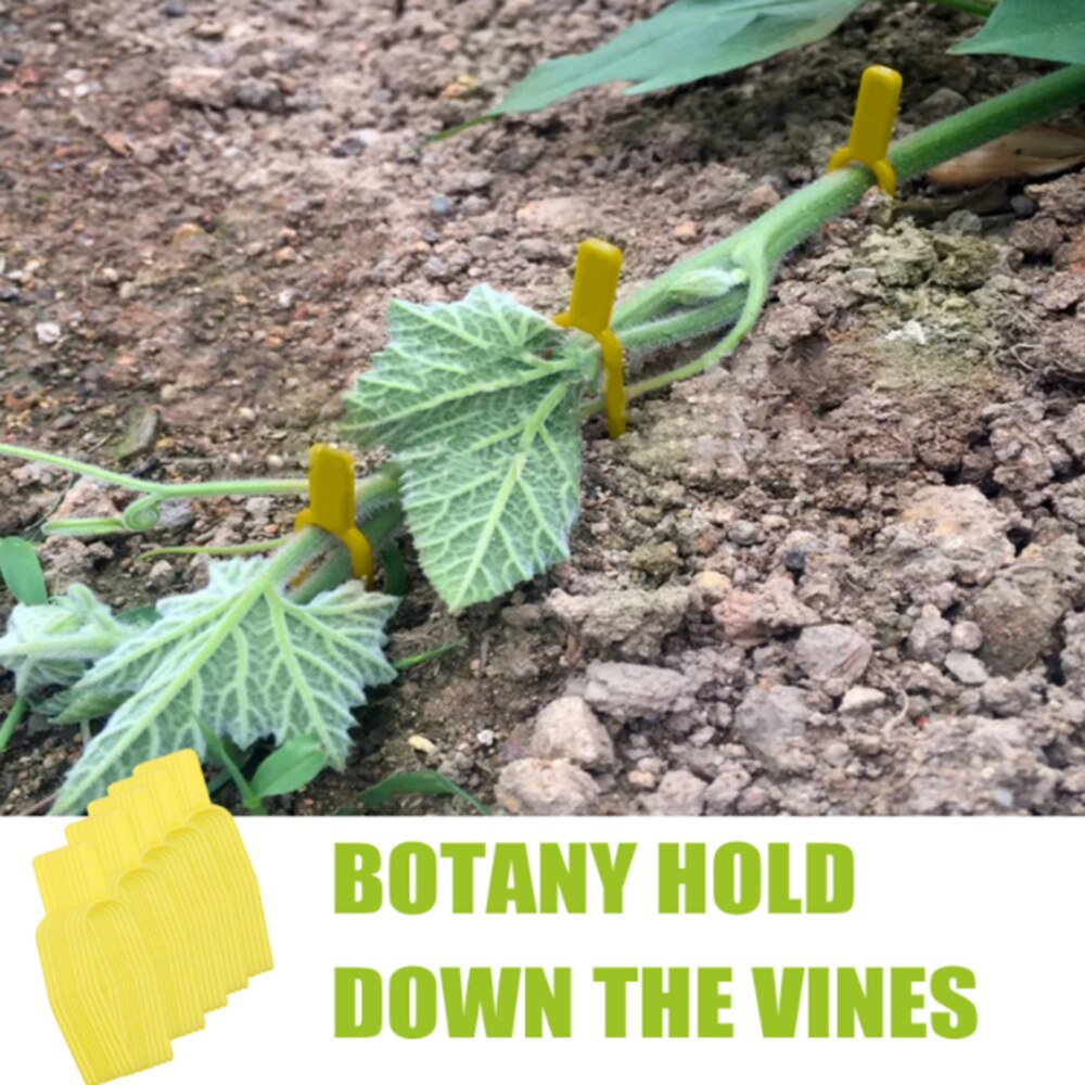 Plant Vine Fixer Gardening Plant Fixing Clips Vine... – Grandado