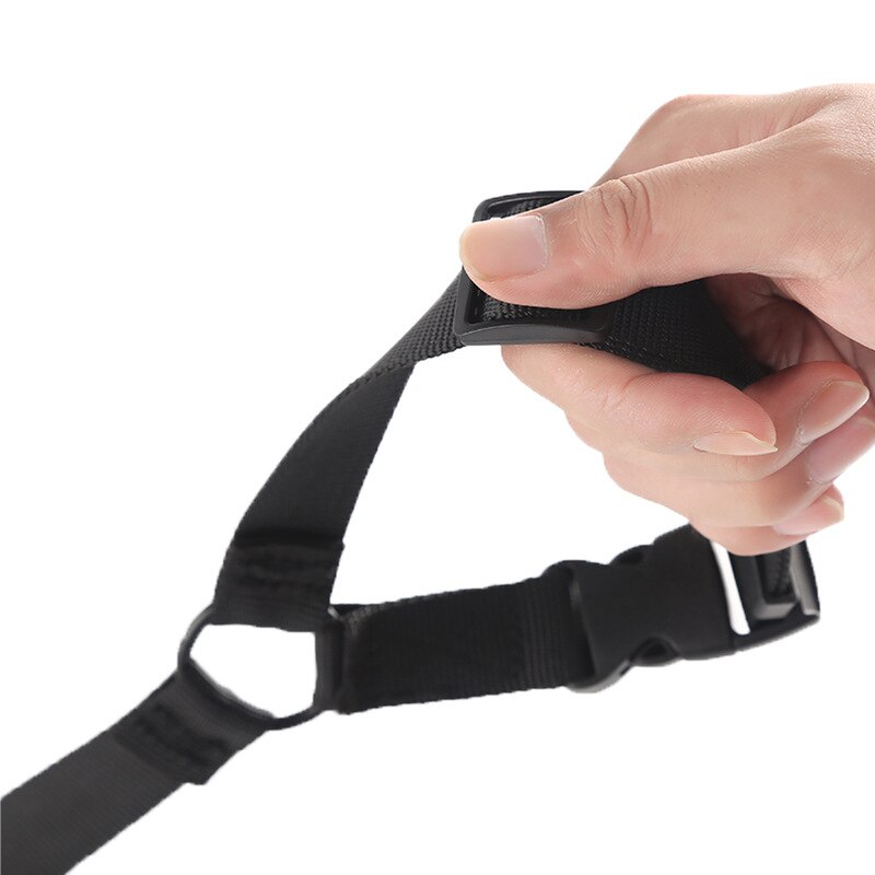 En Handige Huisdier Trekkabel Autogordel 2 In Een ... – LovingPrices