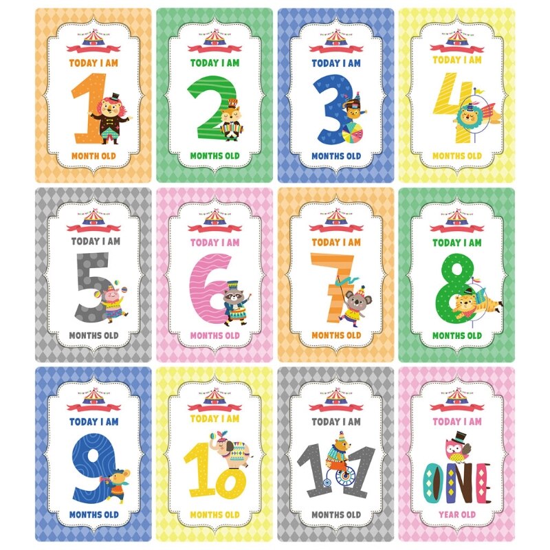 12 Sheet Milestone Photo Sharing Cards Baby Age Ca... – Grandado