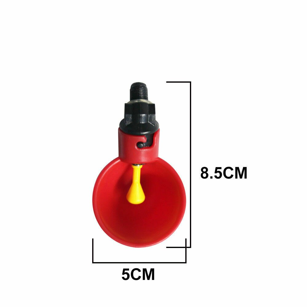 Duif Drinkbeker Automatische Drinker Kip Feeder Pl... – Grandado