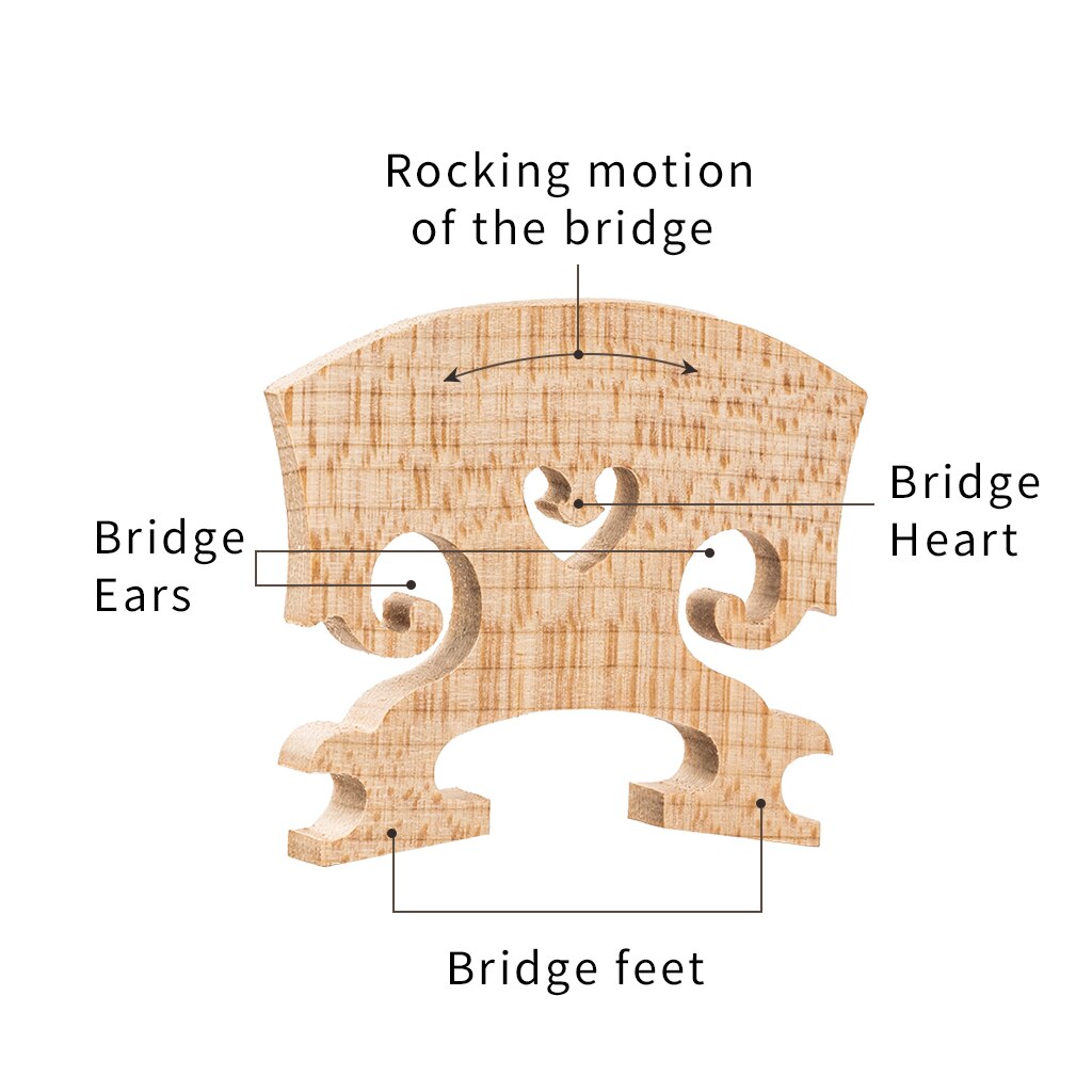 10pcs 4/4 Classical Standard Maple Wood Violin Bri... – Grandado