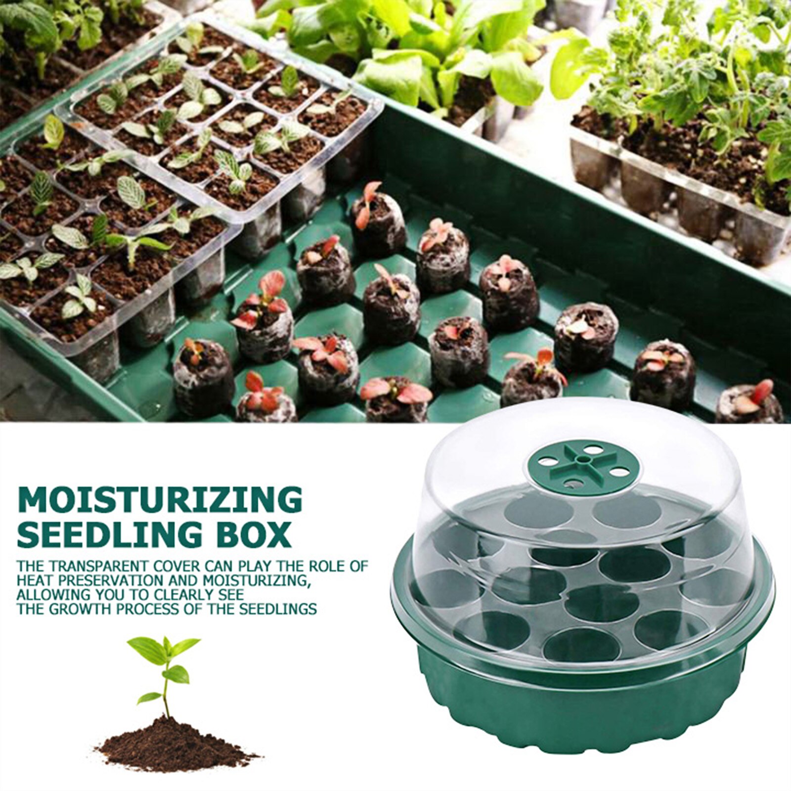Seed Starter Tray Kit - 13 Cells Mini Propagator w... – Grandado