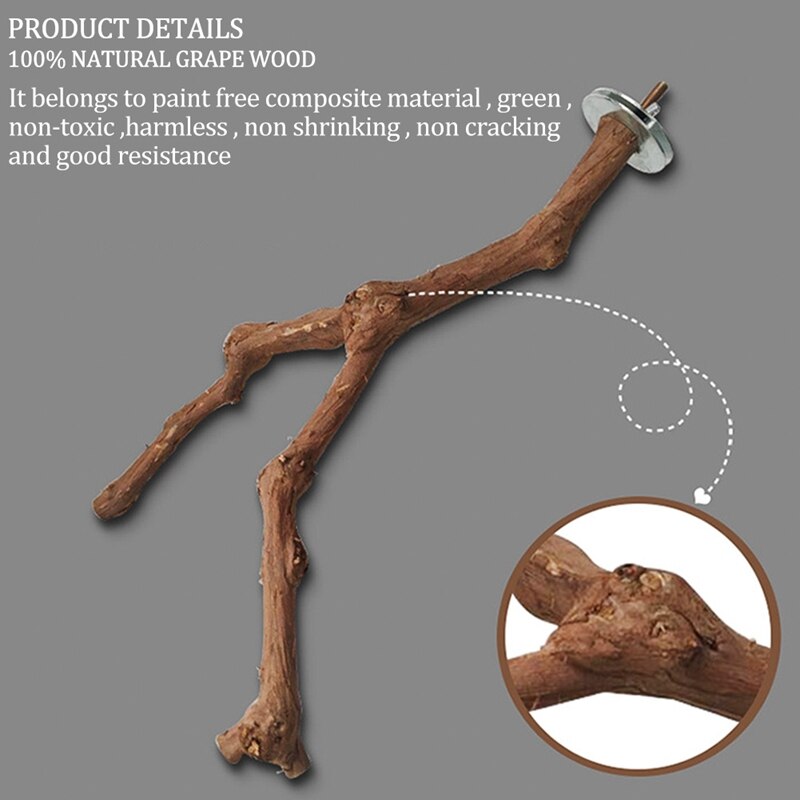 Papegaai Staande Stok Wilde Druif Hout Pole Vogel ... – Grandado