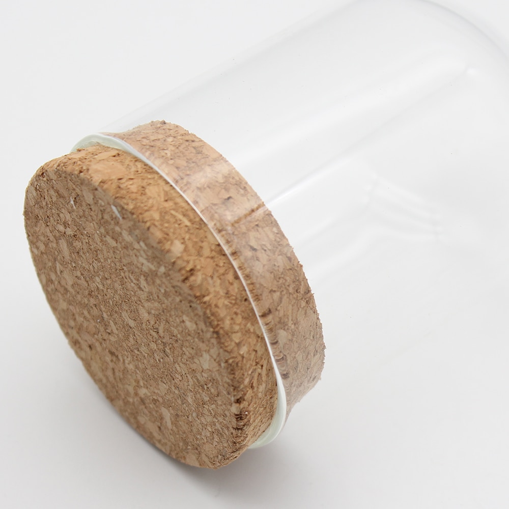 Glass Dome Display Wood Cork Bell Jar Cover Cloche... – Grandado