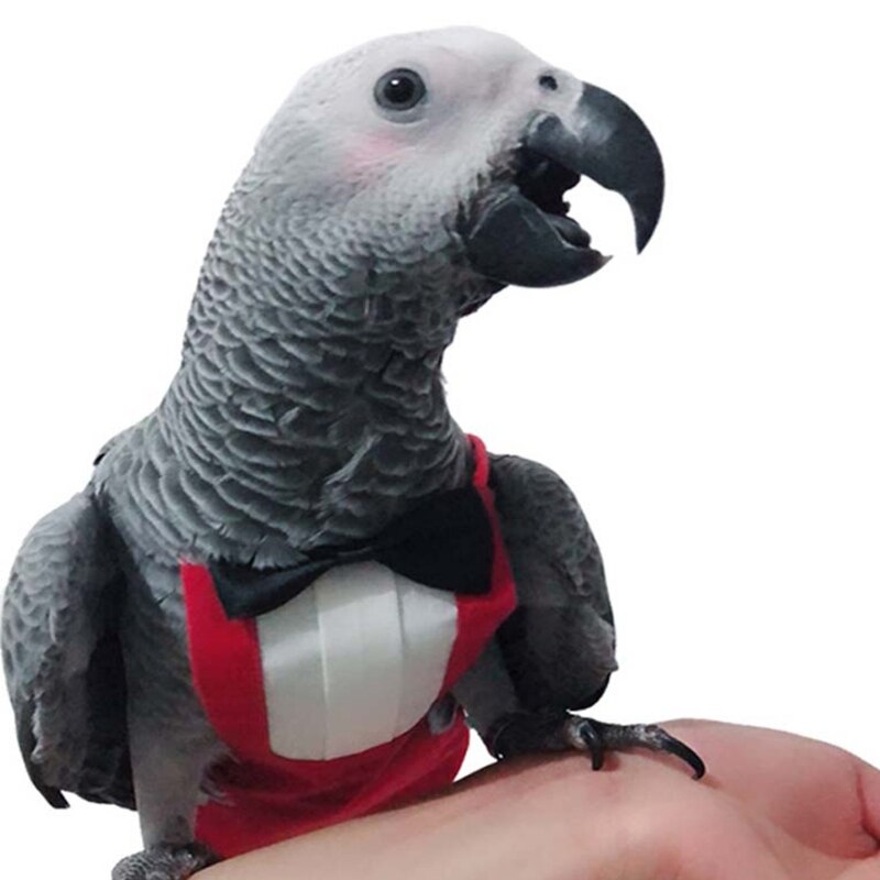 Cute Birds Flight Suit with Bow Tie Parrots Cute S... – Grandado
