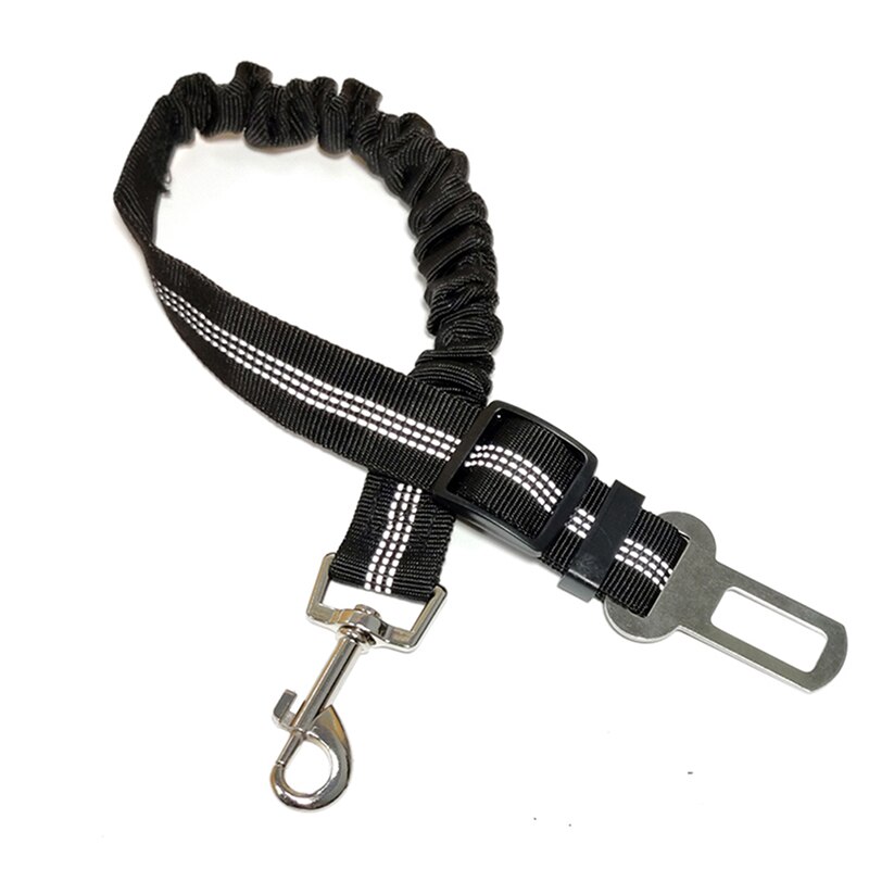 Sällskapsdjur levererar fordon bil sällskapsdjur h... – Grandado