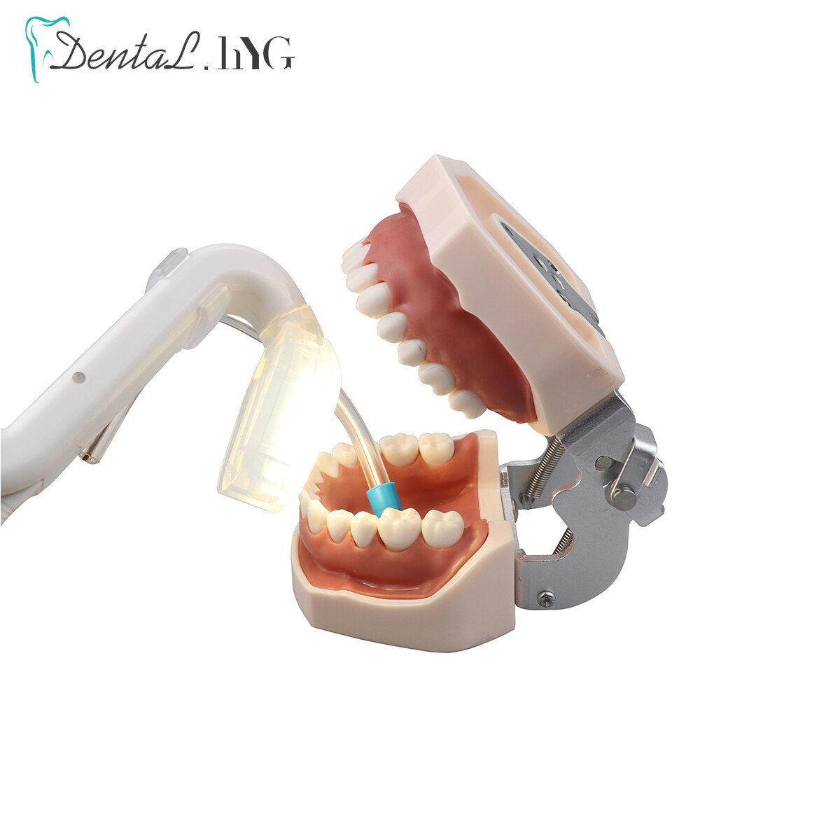 Dental Intraoral Light With Suction Wireless LED L... – Vicedeal