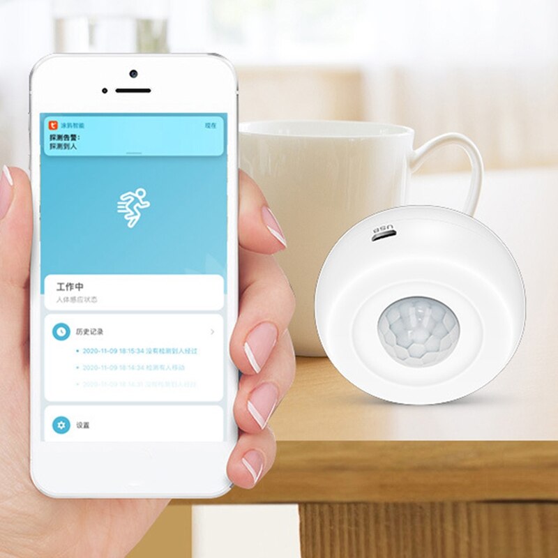Tuya App WiFi Detector Wireless PIR Movement Senso... – Grandado