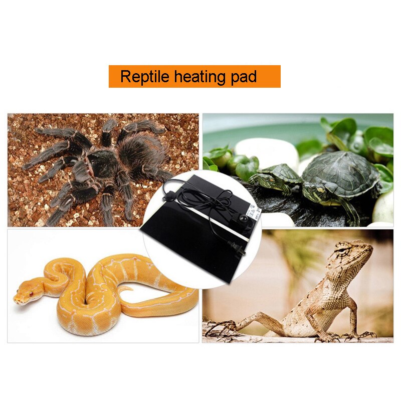 Reptile Heating Pad Reptile Brooder Incubator Pet ... – Vicedeal