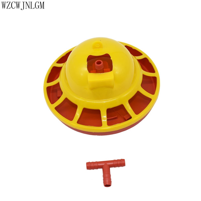 Poultry Chicken Drinking Fountain Automatic Drinki... – Grandado