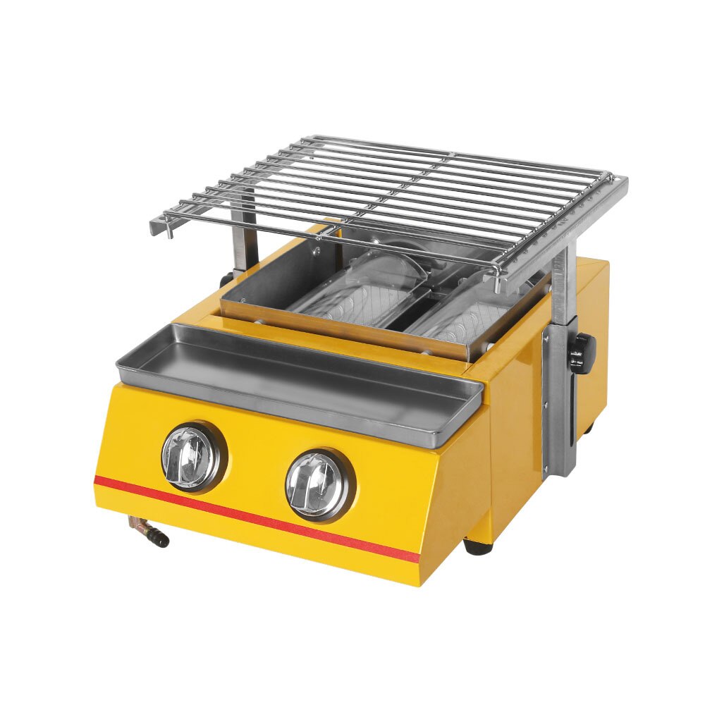 Barbecue Grill For Outdoor LPG 2 Burners Gas Grill... – Grandado