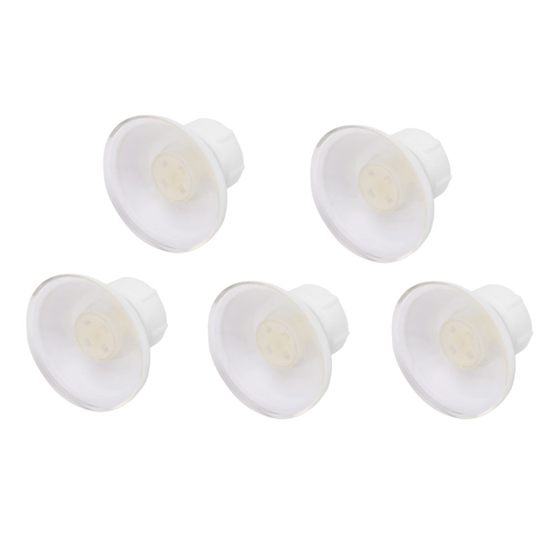 Aquarium Schildpad Koesteren Terras Eiland Platfor... – Vicedeal