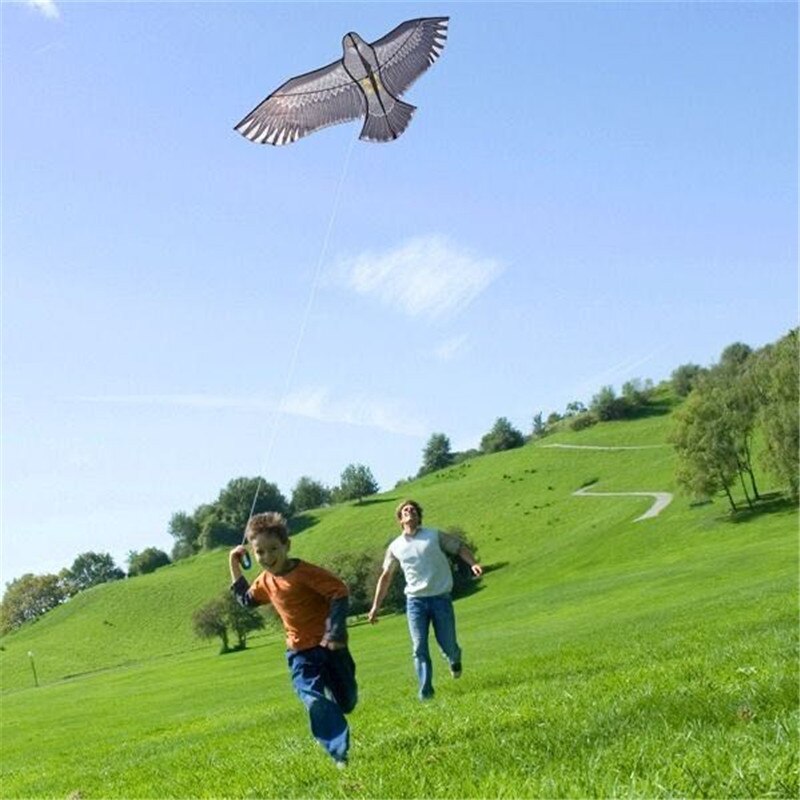 1.2m Flat Hawk Kite With 50 Meter Kite Line Childr... – Grandado