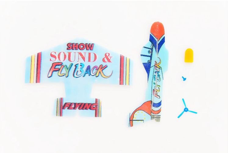 DIY Assembly Flapping Wing Flight Flying Kite Pape... – Grandado