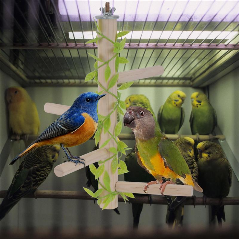 1PC Parrot Tree Branch Stand Rack Wooden Bird Cage... – Grandado