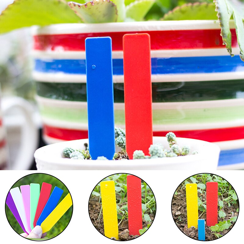 50 PCS Reusable PVC Plants Hang Tag Labels Tree Fr... – Grandado