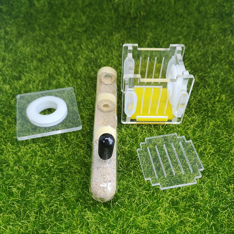 Rear Nest Single Test Tube Ant Nest Activity Area ... – Grandado