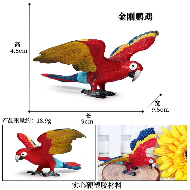 3pc/Set Solid macaw simulation wild animal model b... – Vicedeal