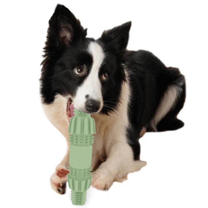 TPR Dogs Rubber Resistance to Bite Dog Toy Strong ... – Vicedeal