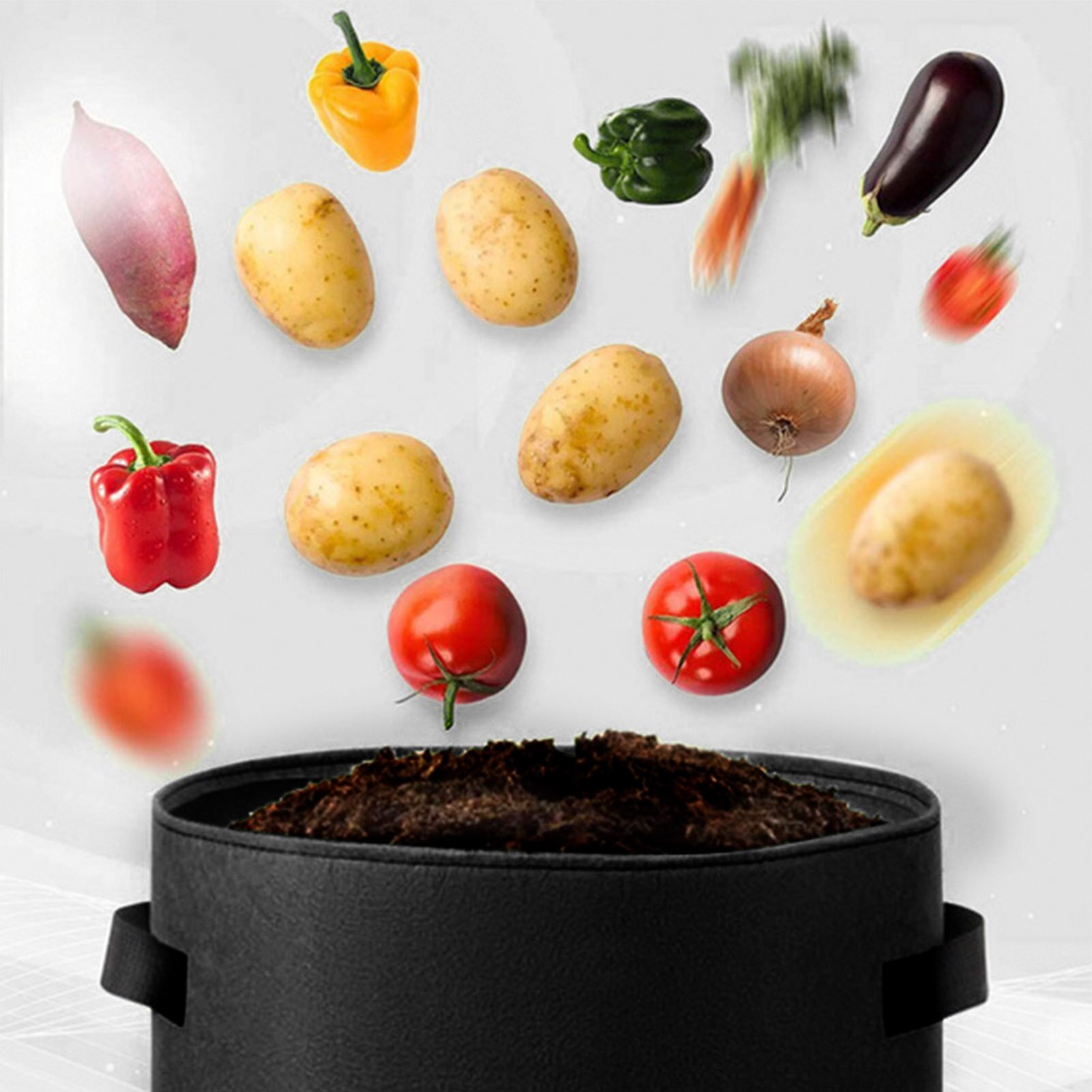 Transparent planting container with 4 compartments... – Vicedeal