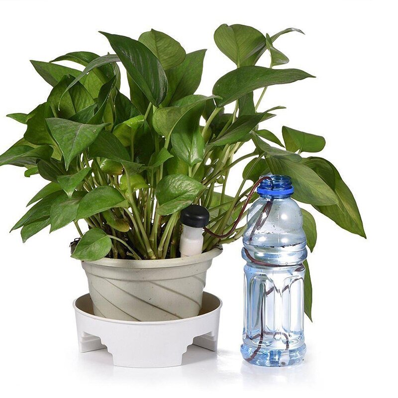20-Pack Automatic Plant Watering System Devices, S... – Grandado