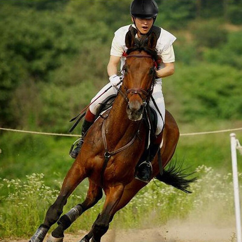 MOON Riding Helmet Equestrian Helmet Horse Breatha... – Vicedeal