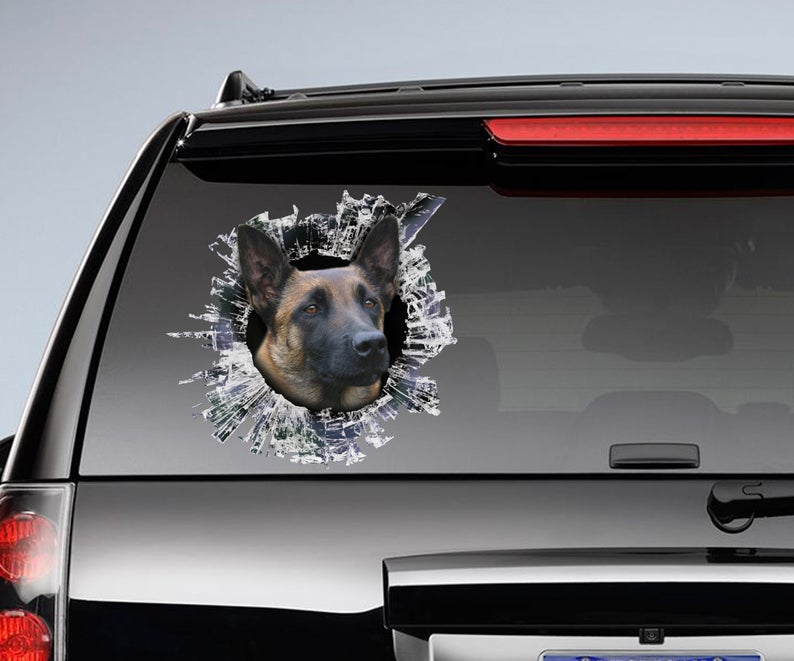 Belgische Malinois Raamstickers, Belgische Malinoi... – Vicedeal
