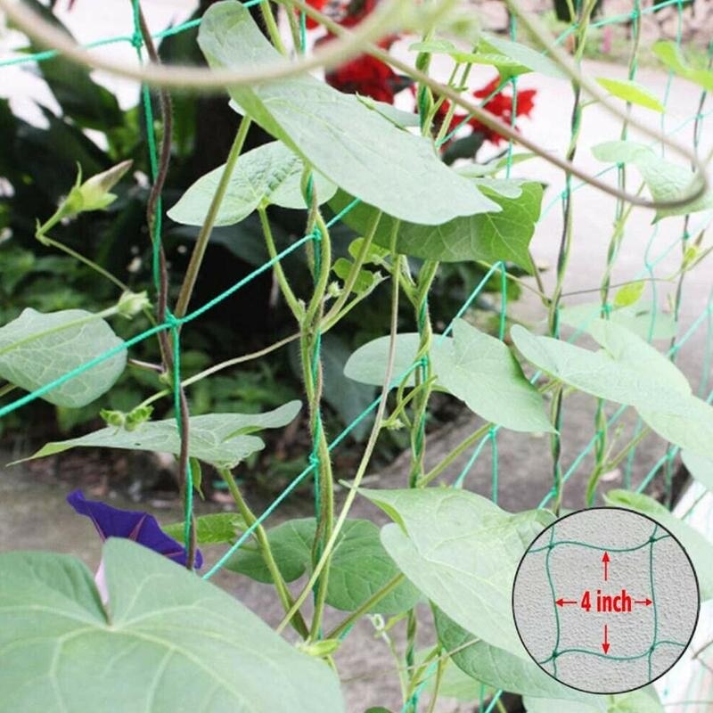 Nylon Mesh Horticulture Gardenig Net Climbing Plan... – Grandado