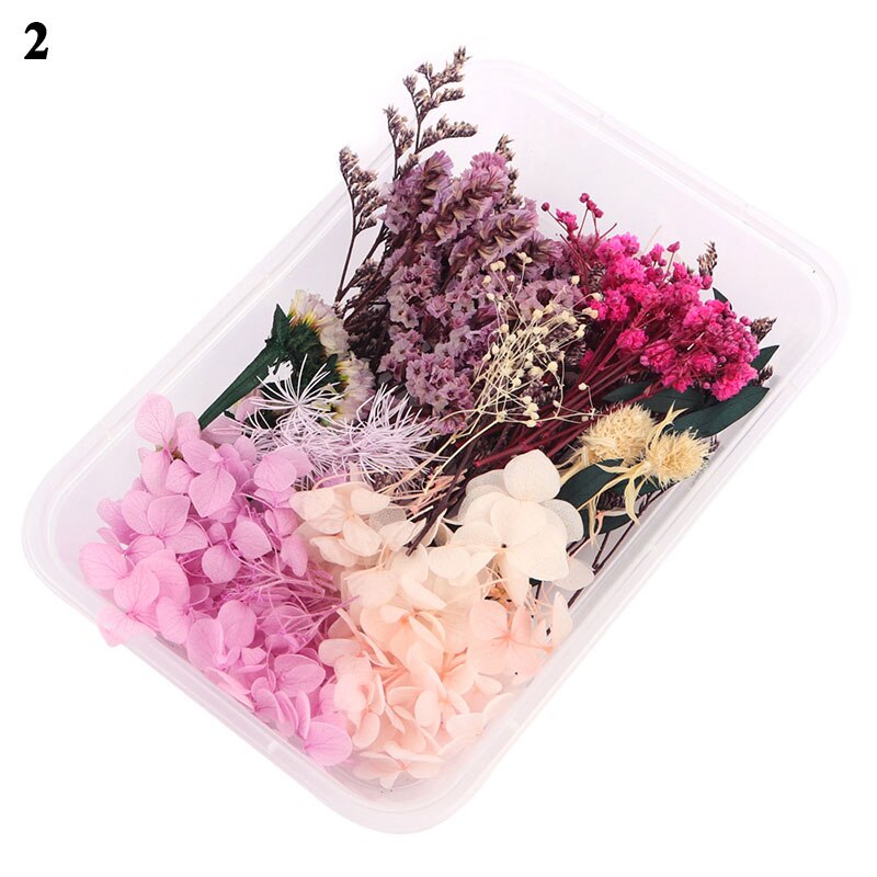 1PC Dried Flower Material Package Craft Jewelry Ma... – Vicedeal