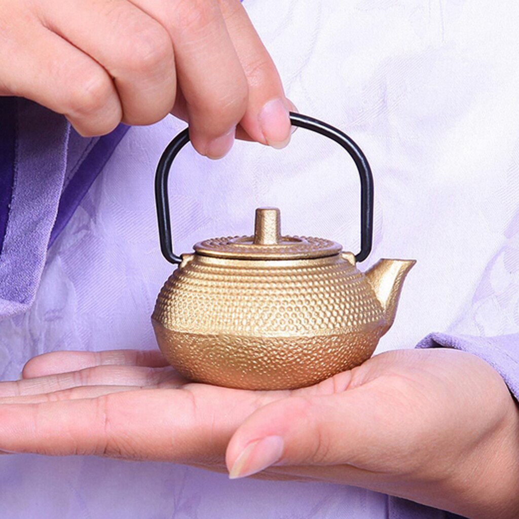Mini Japanese Style Cast Iron Tea Kettle Tetsubin ... – Grandado