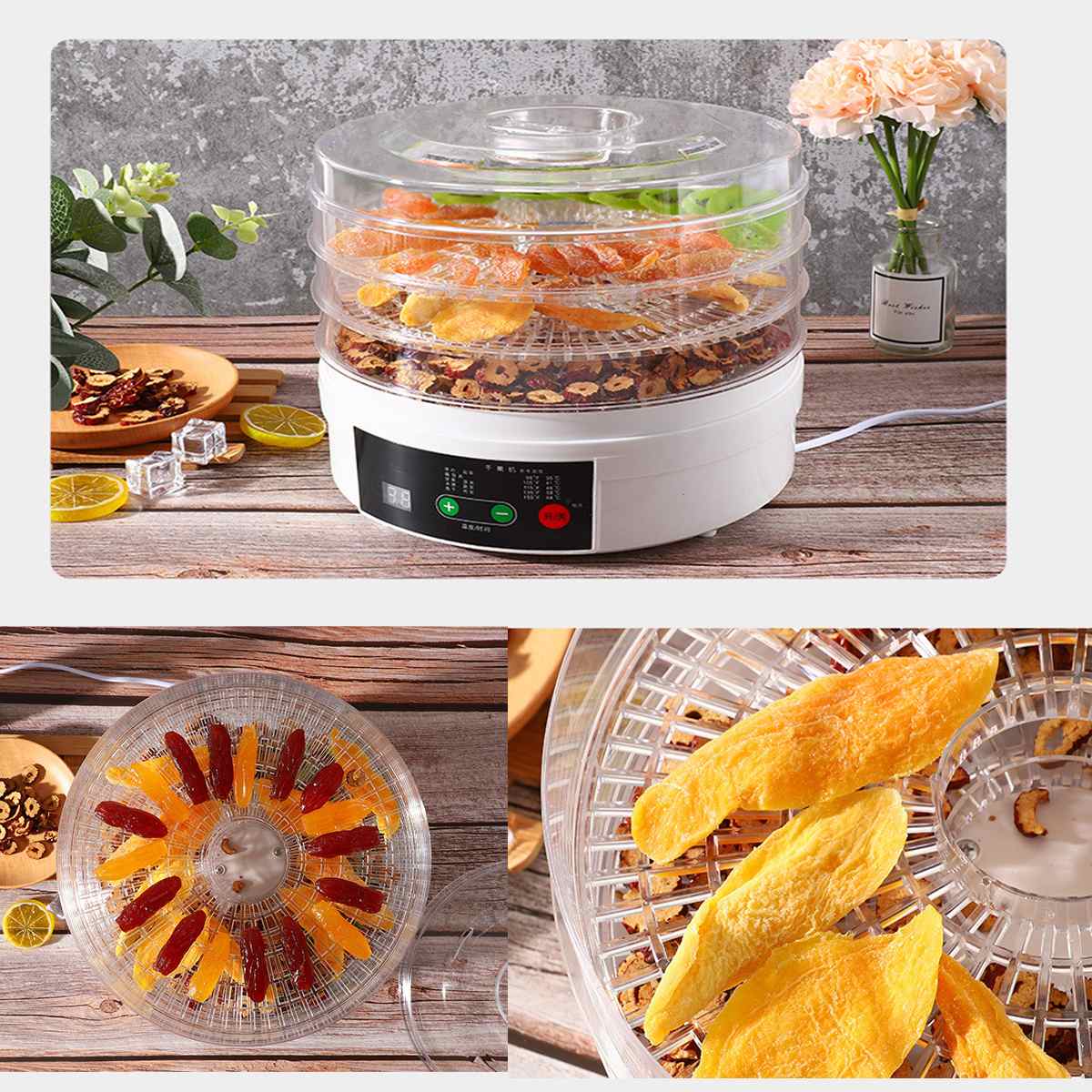 Electric Food Dehydrator for Fruits and Vegetables... – Grandado