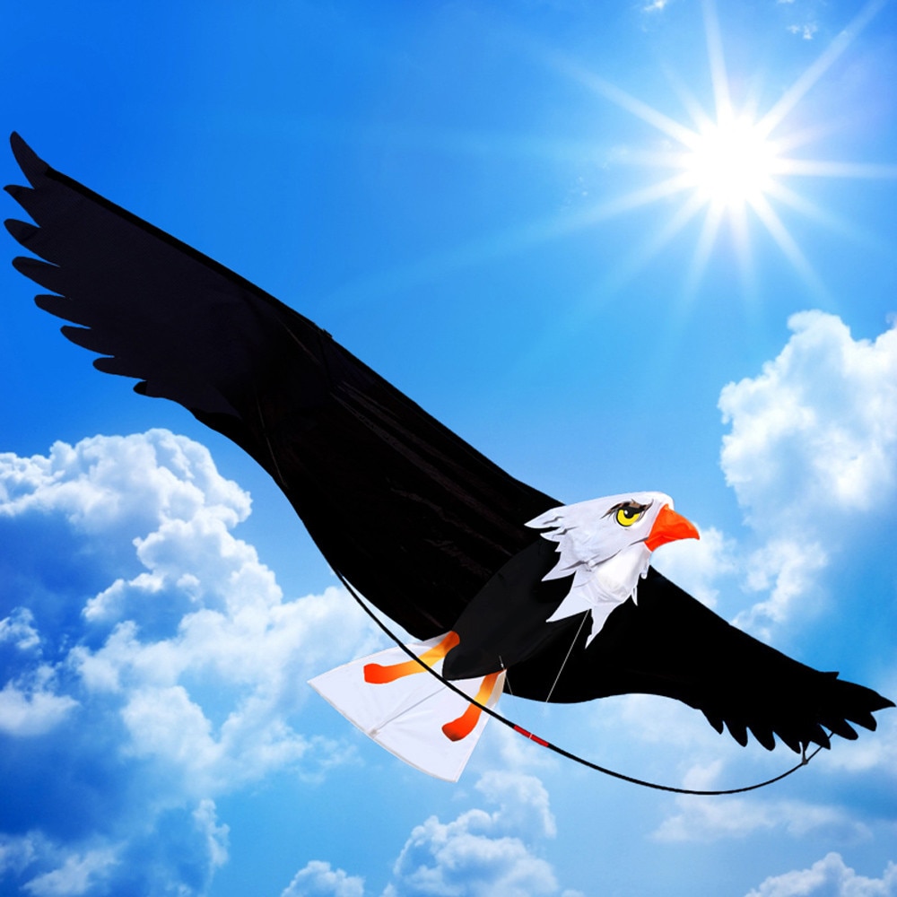 3D Eagle-Kite single line stunt kite Fun Sports Ki... – Grandado