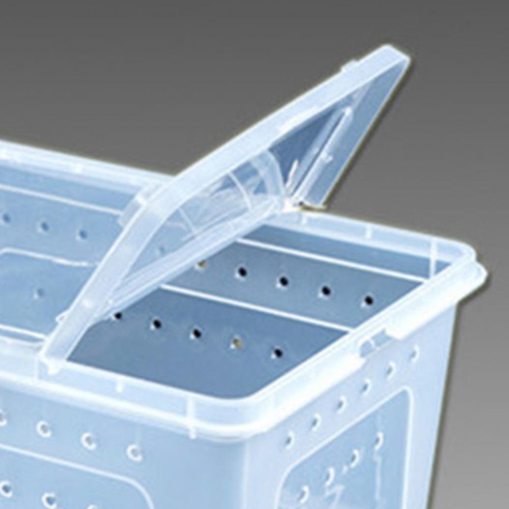 Popular Feeding Box Excellent Clarity Plastic Hatc... – Grandado