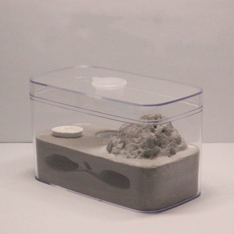 Pet Ant Living Ant Nest Ant Castle Ant Workshop Ho... – Grandado Pet Ant Living Ant Nest Ant Castle Ant Workshop Ho... – Grandado
