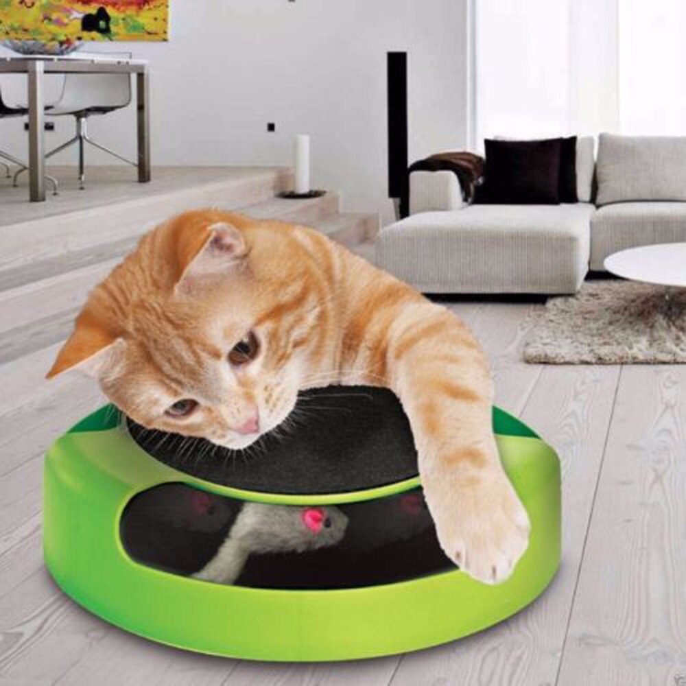 Mascota, gato, gatito Toy Catch The Mouse interact... – Grandado