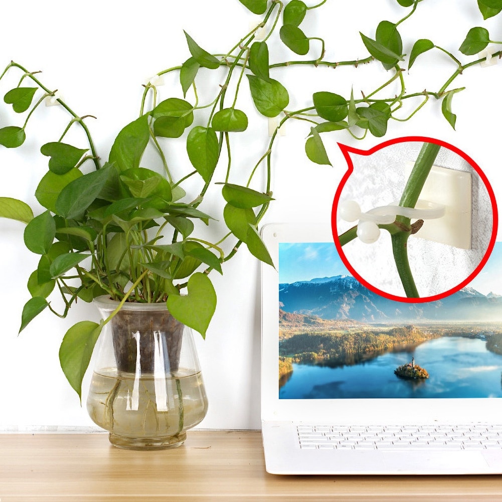 100Pcs Multi Purpose Self-Adhesive Invisible Plant... – Grandado