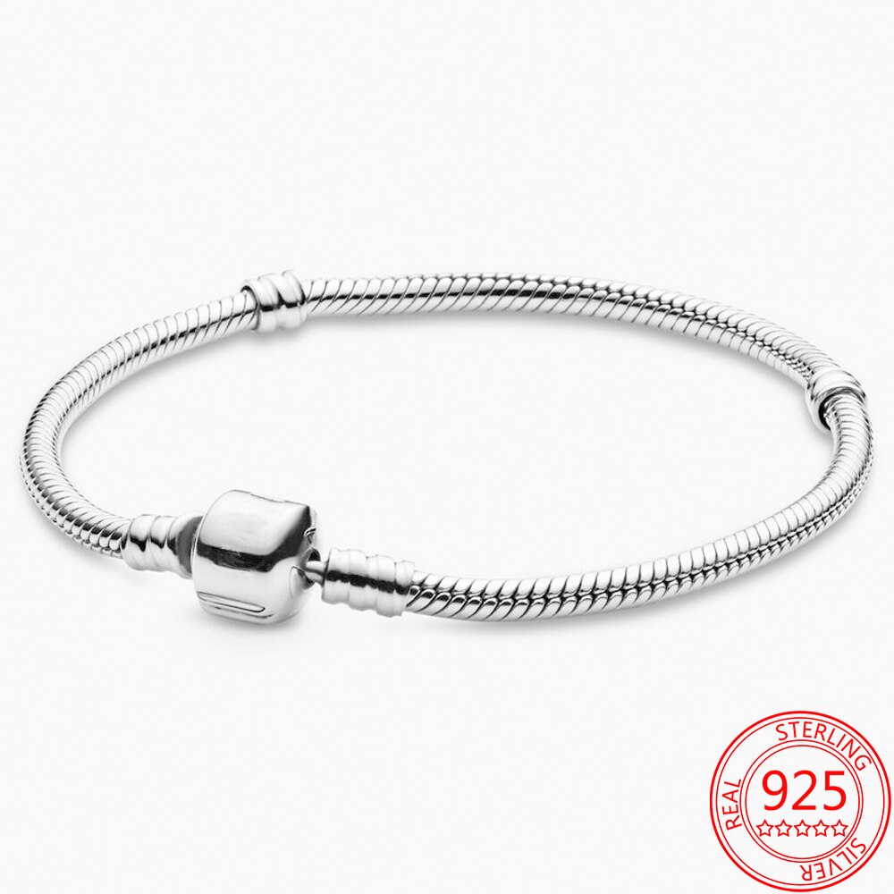 Authentic 925 Sterling Silver Pan Moment Snake Cha... – Grandado
