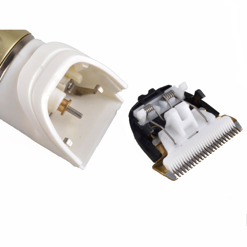 100-240V Household Hair Clipper Cordless Cutting M... – Grandado